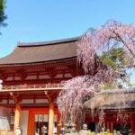 From Osaka: Nara 6 World Heritage Sites Day Tour with Guide - The True Value of This Tour