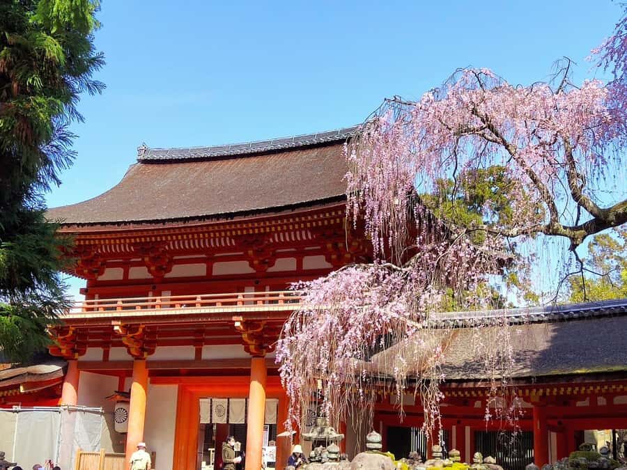 From Osaka: Nara 6 World Heritage Sites Day Tour with Guide - The True Value of This Tour