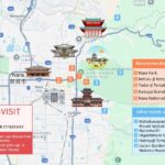 From Osaka: Nara Private Customizable Day Tour - What’s the Experience Like?