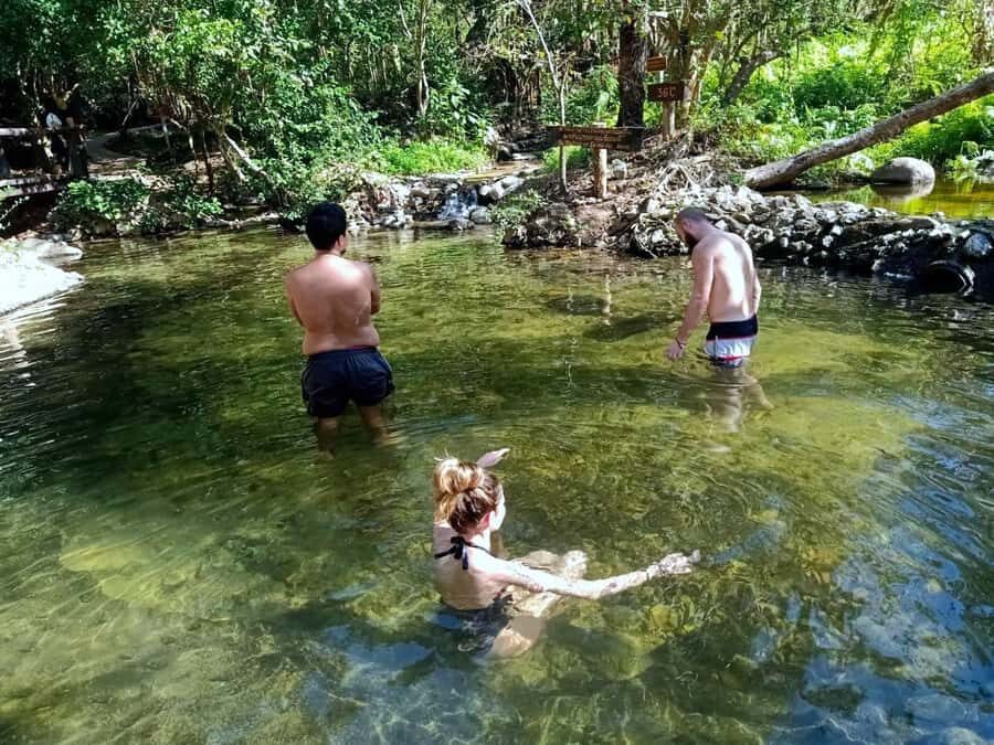 From Pai: Private Highlights Car Day Tour with Pai Canyon - Transport and Comfort