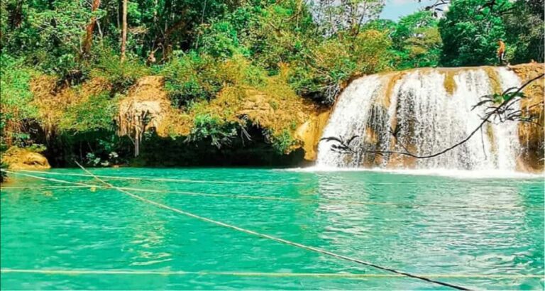 From Palenque: Roberto Barrios Waterfalls Excursion - What to Expect on the Tour