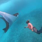 From Penida: Manta Snorkeling with Buffet Lunch and Kayaking - Who Will Love This Tour?