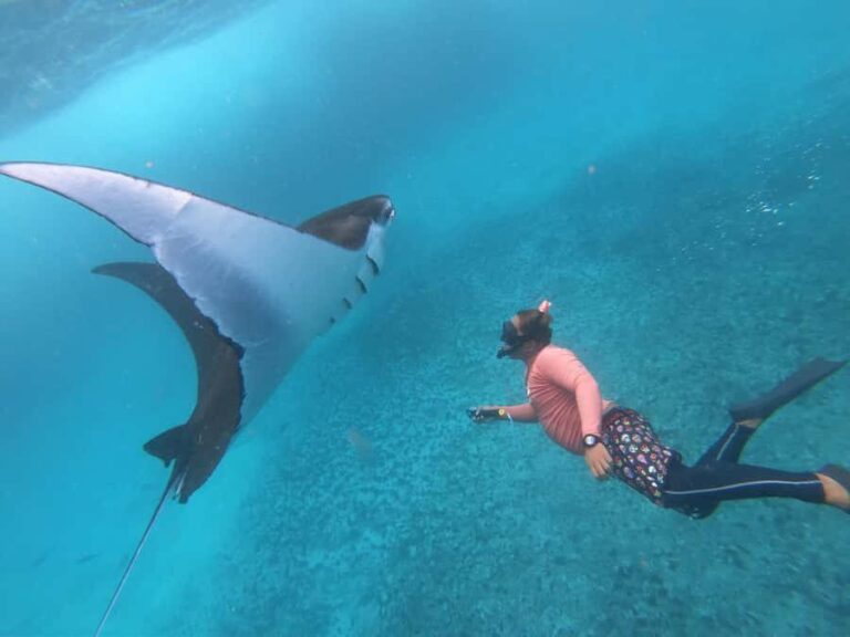 From Penida: Manta Snorkeling with Buffet Lunch and Kayaking - Who Will Love This Tour?