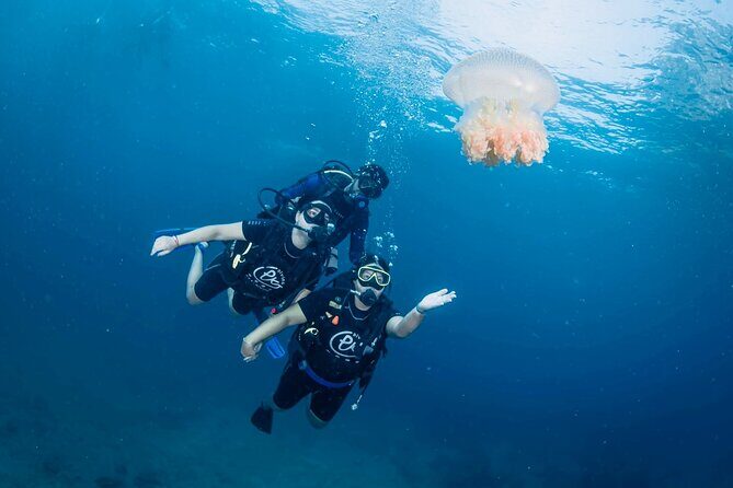 From Phi Phi Don | Half Day Discover Scuba Diving 2 Dives - Why This Tour Works Well
