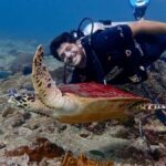 From Phi Phi: Half-Day Trip for Certified Divers (2 Dives) - What Makes This Tour Stand Out