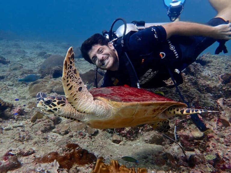 From Phi Phi: Half-Day Trip for Certified Divers (2 Dives) - What Makes This Tour Stand Out