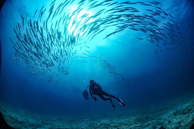 From Phi Phi: Half Day Trip for Certified Divers (2 Dives) - Who Should Book This Tour?