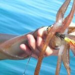 From Phu Quoc: Sunset and Night Squid Fishing - Who Will Love This Tour?