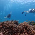 From Phuket: 3-Day SSI/PADI Open Water Diver Certification - Why This Experience Works for Travelers