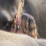 From Phuket: Elephant Sanctuary Tour with Lunch & Pickup - Why Travelers Love This Tour