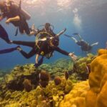 From Phuket: Full-Day Similan Island Scuba Diving Day Trip - What to Expect from the Full-Day Similan Islands Dive Tour