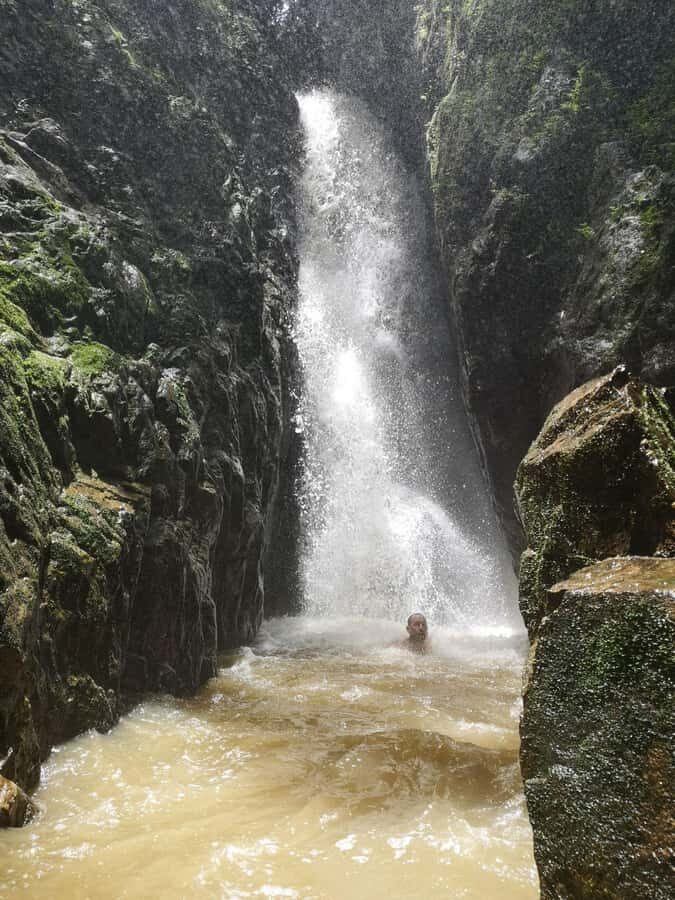 From Phuket: Guided Rainforest Hike with Lunch - What You Need to Know Before Booking