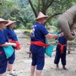 From Phuket & Khao Lak: Elephant Care with Waterfall Visit - Authenticity and Ethical Practice