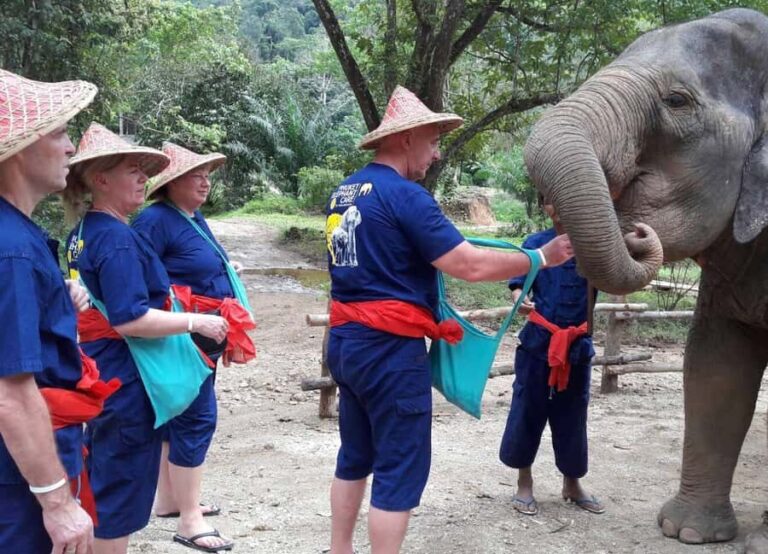 From Phuket & Khao Lak: Elephant Care with Waterfall Visit - Authenticity and Ethical Practice