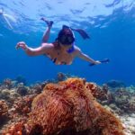 From Phuket: Koh Haa & Koh Rok Day Tour with Snorkel, Lunch - Why This Tour Works Well