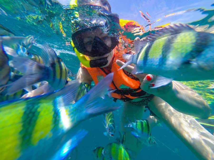 From Phuket: Phi Phi and Maya Bay Snorkeling by Speedboat - Exploring the Itinerary: What Makes Each Stop Special