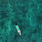 From Phuket: Phi Phi Island Private Full-Day Speedboat Trip - Valuable Aspects for Travelers