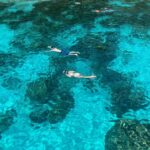 From Phuket: Similan Islands Day Trip - Transportation and Group Dynamics