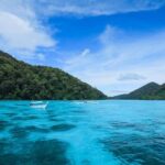 From Phuket: Surin Islands Snorkeling Day Trip with Lunch - Who Is This Tour Best For?