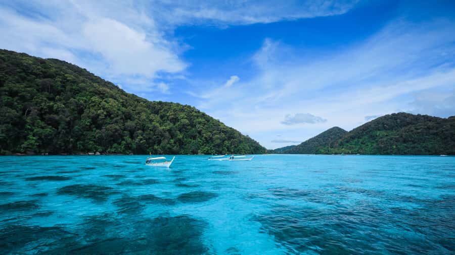 From Phuket: Surin Islands Snorkeling Day Trip with Lunch - Who Is This Tour Best For?