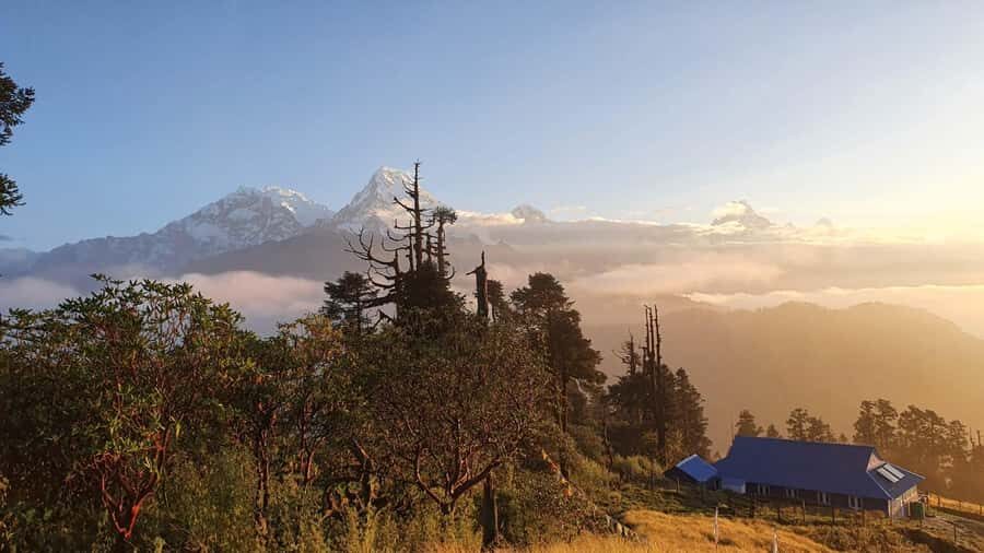 From Pokhara: 4 Day Budget Poon Hill Trek Fixed Deprature - What Makes This Trek Stand Out