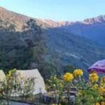 From Pokhara Budget: 5 day Mardi Himal Base Camp trek - The Itinerary in Detail