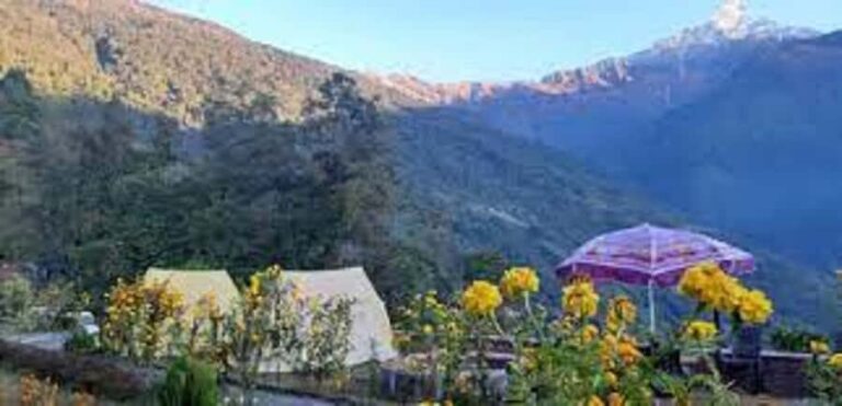 From Pokhara Budget: 5 day Mardi Himal Base Camp trek - The Itinerary in Detail