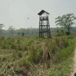 From Pokhara: Chitwan 2N/3D National Park Tour - The Itinerary Breakdown: What You’ll Experience