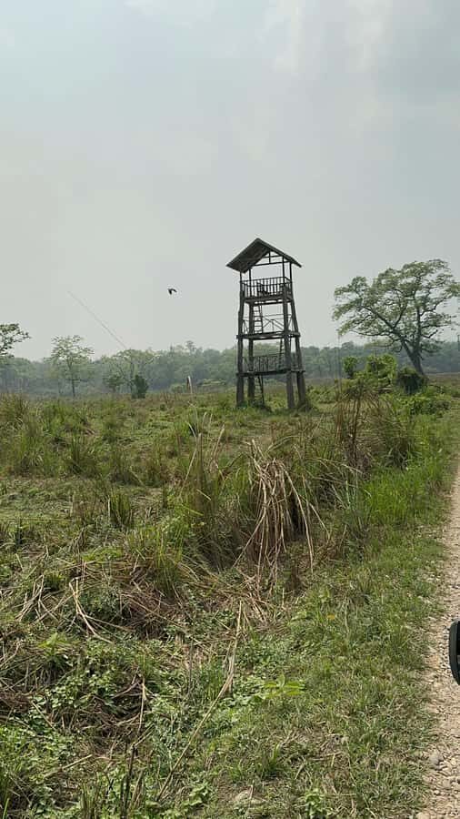 From Pokhara: Chitwan 2N/3D National Park Tour - The Itinerary Breakdown: What You’ll Experience