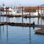 From Portland: Oregon Coast Scenic Day Tour - What We Like About This Tour