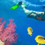 From Punta Cana: Catalina Island Swim, Sail & Snorkel - Transportation, Duration, and Practicalities