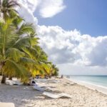 From Punta Cana: Catamaran Cruise to Saona Island with Lunch - Who Should Book This Tour?
