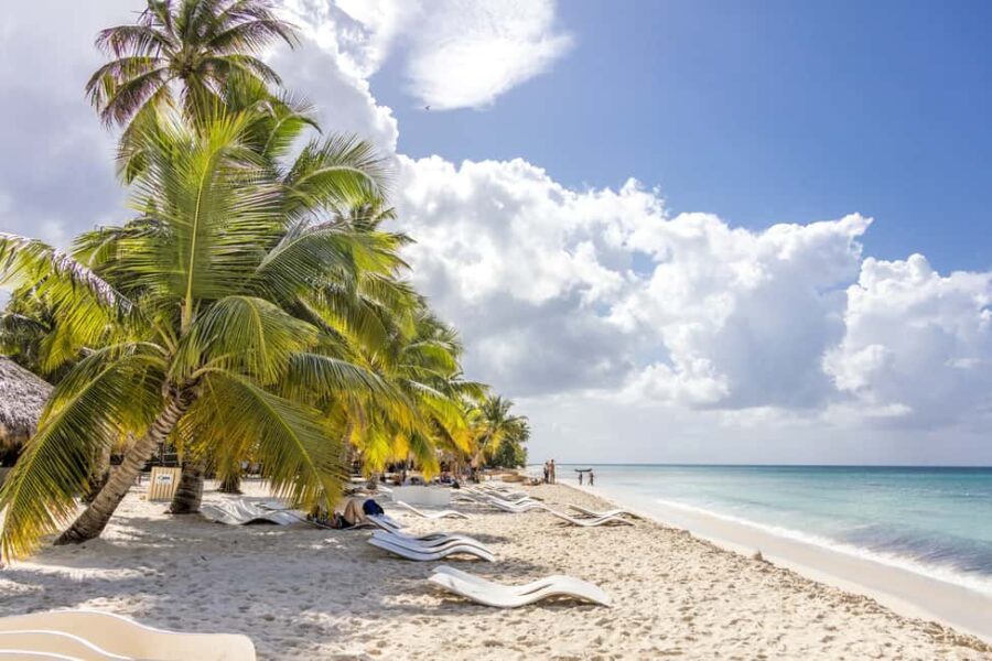 From Punta Cana: Catamaran Cruise to Saona Island with Lunch - Who Should Book This Tour?