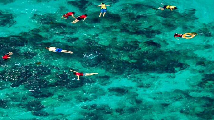 From Punta Cana: Exclusive Catalina Island Tour with Transportation and Lunch - What You Can Expect: A Closer Look at the Day