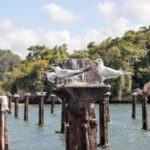 From Punta Cana: Los Haitises Tour: Mangroves, Caves + Round Mountain - What Makes This Tour Stand Out?