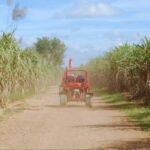 From Punta Cana or La Romana: Sugarcane Fields Buggy or Quad - Real Traveler Perspectives