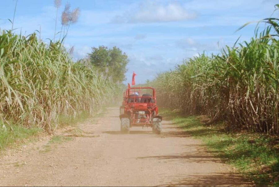 From Punta Cana or La Romana: Sugarcane Fields Buggy or Quad - Real Traveler Perspectives