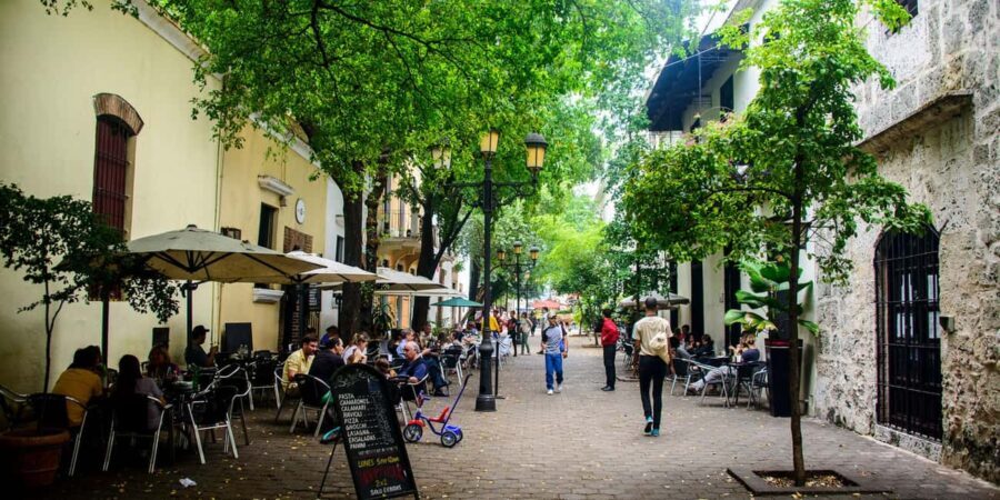 From Punta Cana: Santo Domingo Full-Day Tour with Lunch - The Practical Side: Transportation, Group Size, and Cost