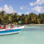 From Punta Cana: Saona Island & Altos de Chavon Day Trip with Lunch and Open Bar - Key Points