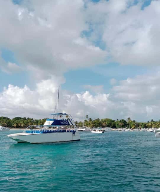 From Punta Cana: Saona Island Boat Trip with Buffet - Detailed Breakdown of the Itinerary