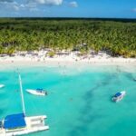 From Punta Cana: Saona Island Day Trip with Buffet Lunch - What Travelers Are Saying: Authentic Perspectives