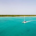 From Punta Cana: Saona Island Speedboat and Catamaran Tour - The Itinerary Breakdown