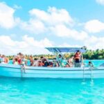 From Punta Cana: Saona Island Tour with BBQ Lunch - Practical Details & Considerations