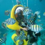 From Punta Cana: ScubaDoo, Snorkel & Glass Bottom Boat Tour - What the Reviews Reveal