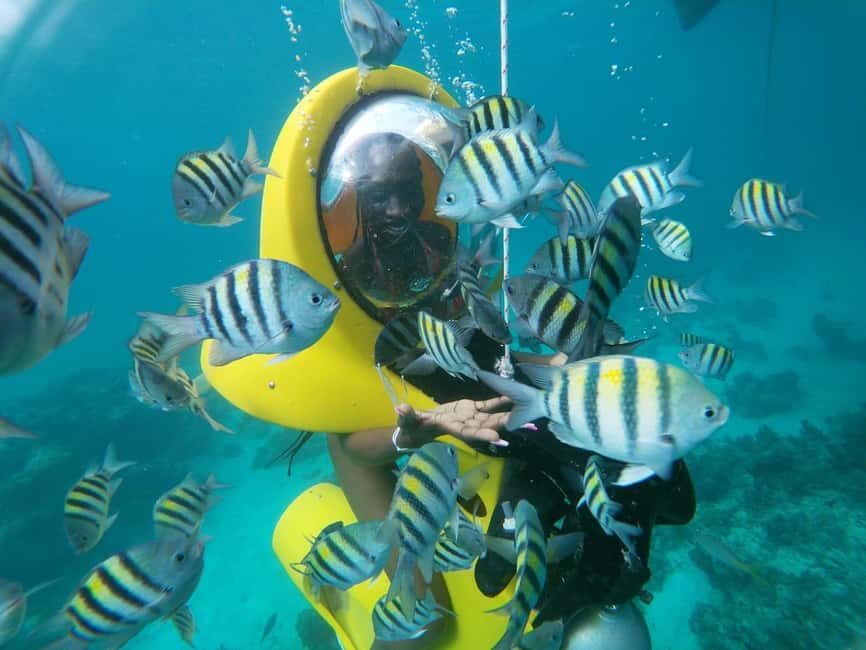 From Punta Cana: ScubaDoo, Snorkel & Glass Bottom Boat Tour - What the Reviews Reveal