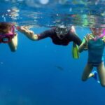 From Punta Cana: Small Group Catalina Island Snorkeling Tour - The Practical Details