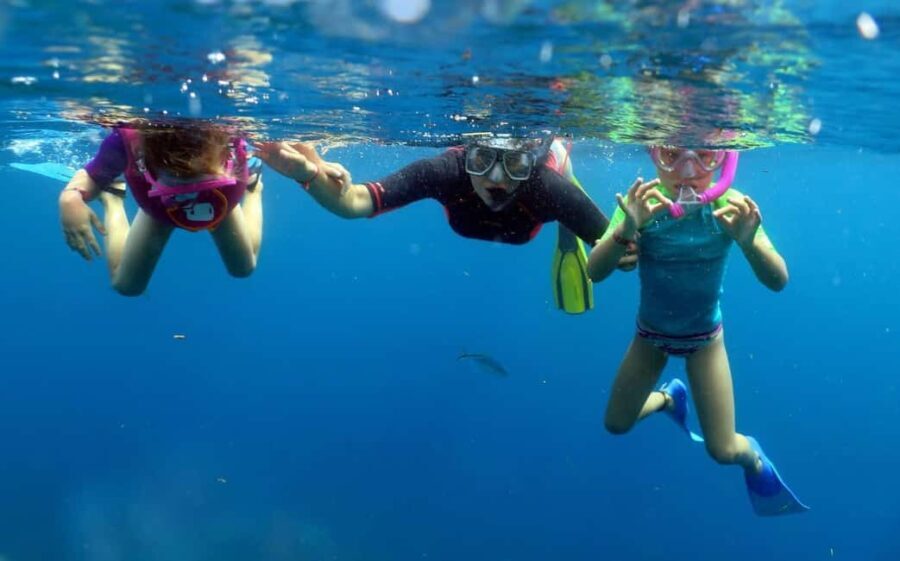From Punta Cana: Small Group Catalina Island Snorkeling Tour - The Practical Details