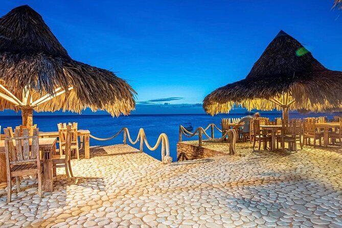 From Punta Cana : VIP Saona and Bay of Eagles All Inclusive - Transportation and Logistics