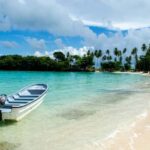 From Punta Cana: Whale Watching and Beaches Day Trip - Practical Details and Tips