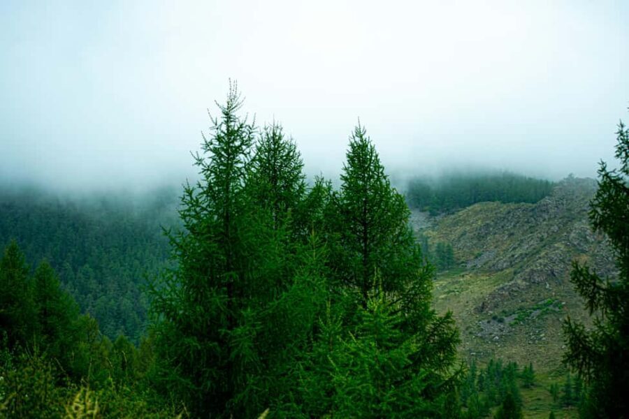 From Rishikesh: Day trek to Shivas Abode in Mystic Himalaya - What’s Included and How It Works